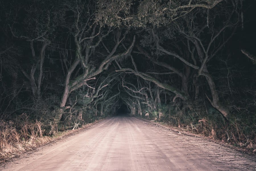 Real Haunted Roads You Should Avoid at Night - Weird News Ledger